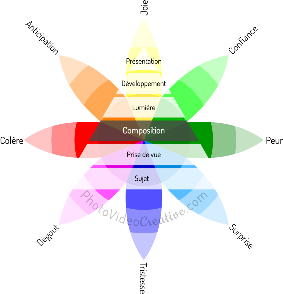 Cadrage serré, cadrage large et vos émotions : comment choisir la bonne ...