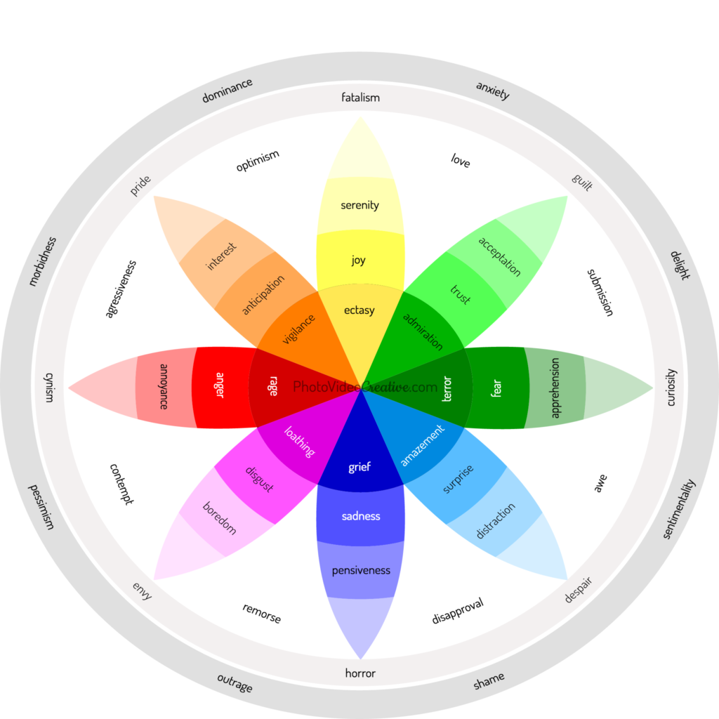 Make Your Best Photos with the 8 Fundamental Emotions • Photo-Video ...