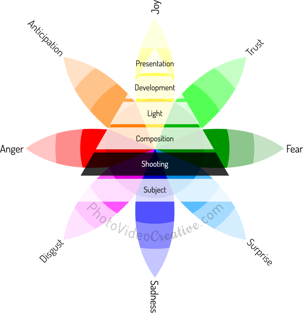 Depth of Field and Your Emotions: Why Soft and Sharp Focus Reinforce ...