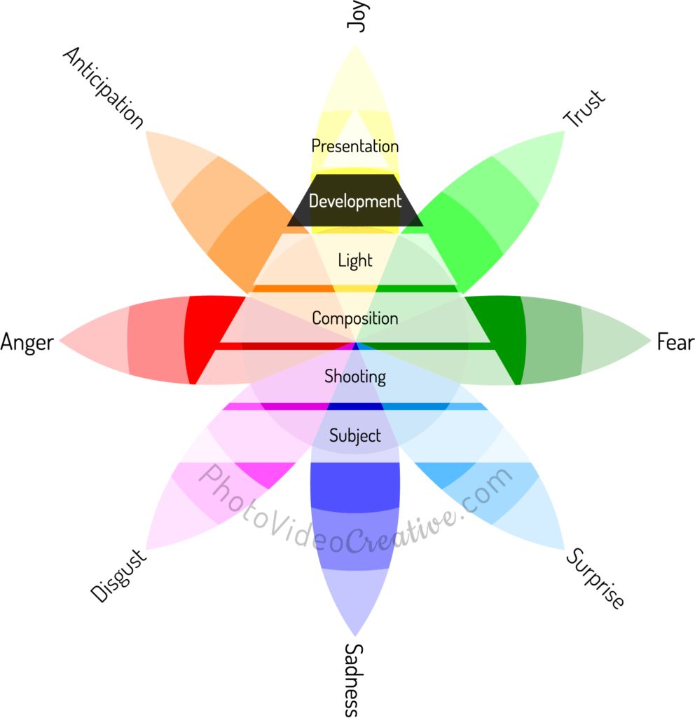 Developing for Moving: The 6 Essential Photo Development Techniques to ...